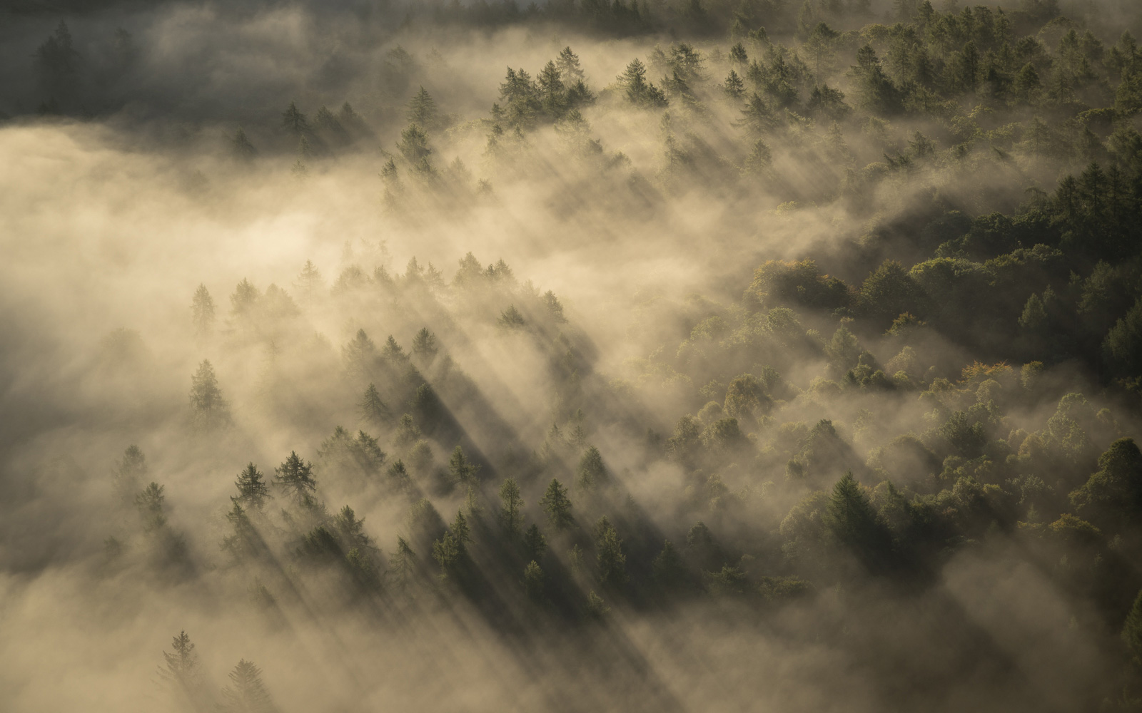 transient - Simon Baxter Photography