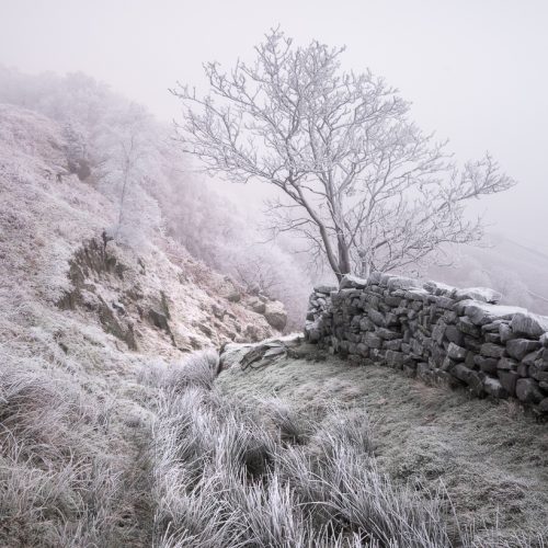 Woodland & Landscape Photography by Simon Baxter in North Yorkshire