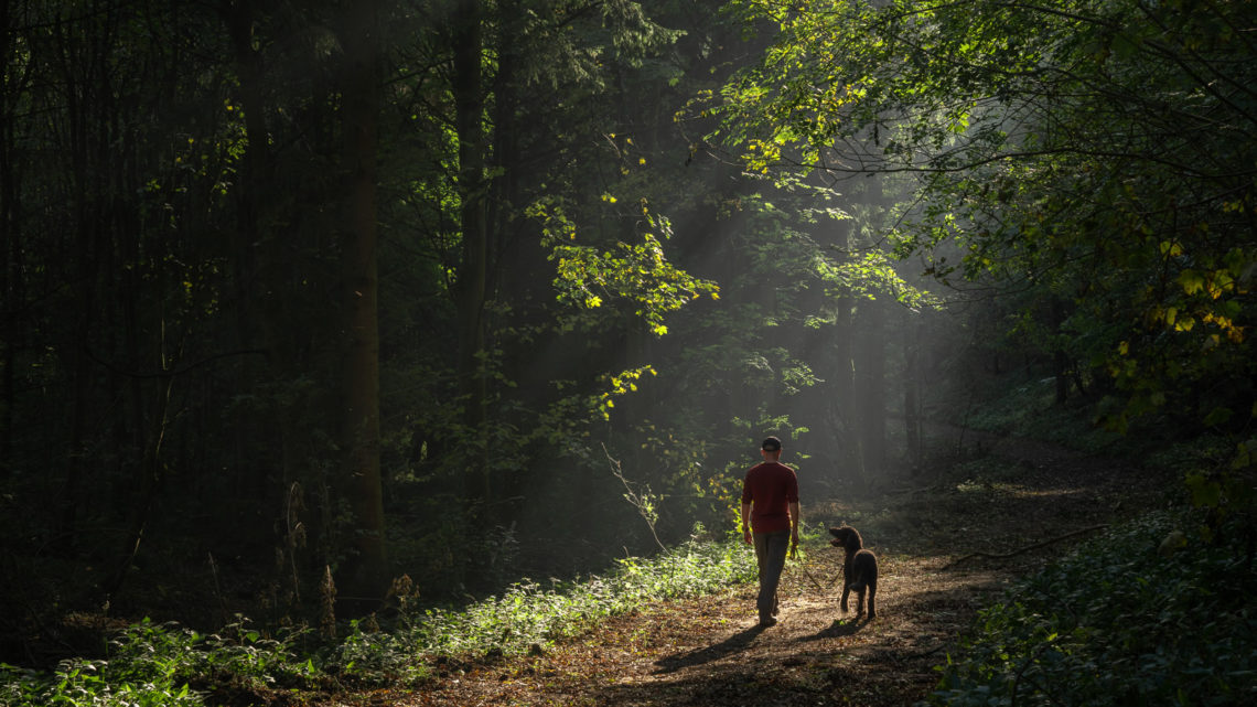 About / Contact - Simon Baxter Photography