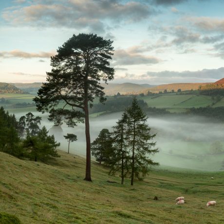 Shop - Simon Baxter Photography