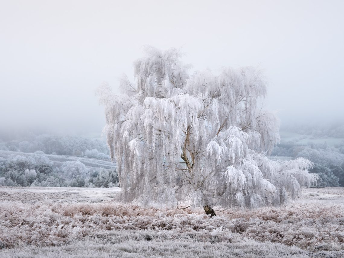 The Wishing Tree - Simon Baxter Photography